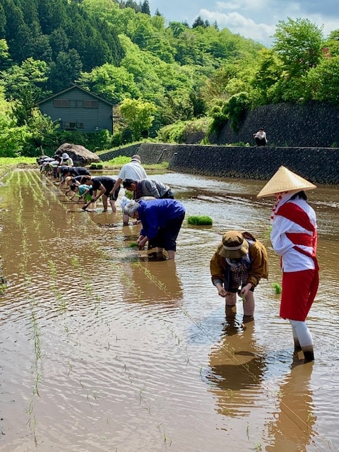 IMG_6786 - 一般社団法人 養老の森 公式サイト