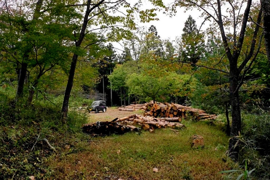 forest02 - 一般社団法人 養老の森 公式サイト